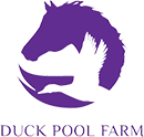 Duck Pool Farm – Duck Pool Farm