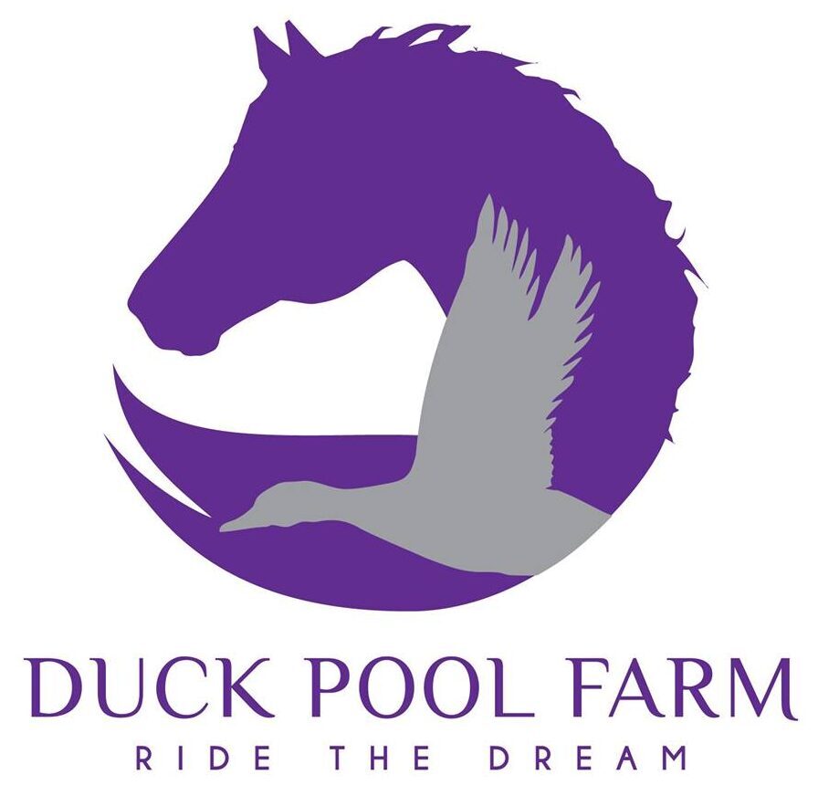 2020 Foals – Duck Pool Farm